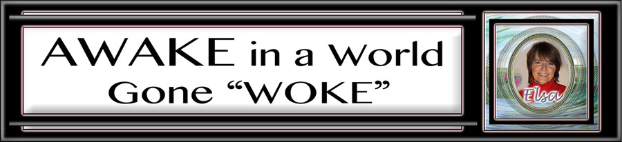 AWAKE in a World Gone "Woke." From Frustrated to Flourishing